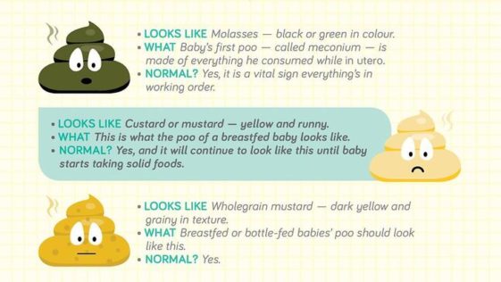 Data Chart : 11 Types Of Baby Poop And The Hidden Messages You Might ...