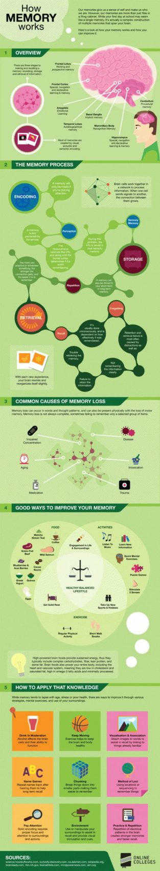 Data Chart : 9 Easy Ways To Improve Your Memory [Infographic ...
