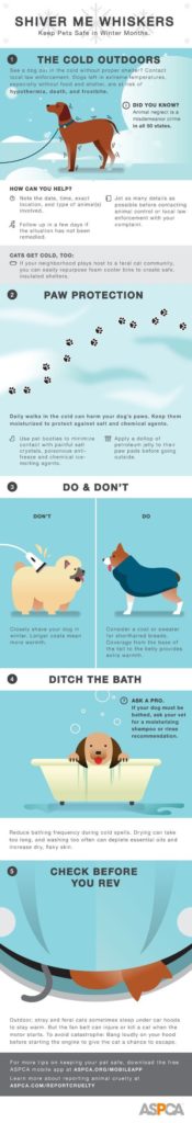Data Chart : Fido, it's Cold Outside [Infographic - Infographic.tv ...
