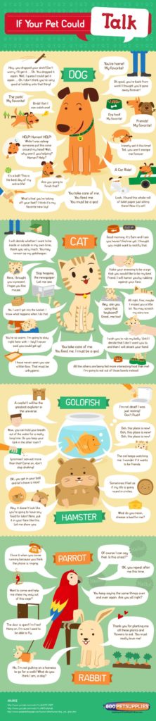 Data Chart : This Is What Your Pet Thinks About [Infographic ...