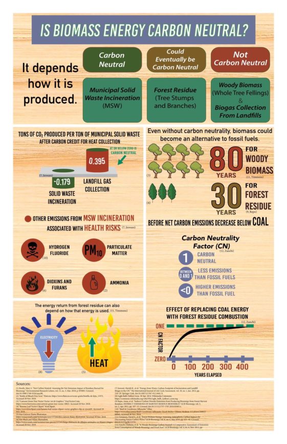 Infographic : Is biomass energy carbon neutral? [OC] – Infographic.tv ...