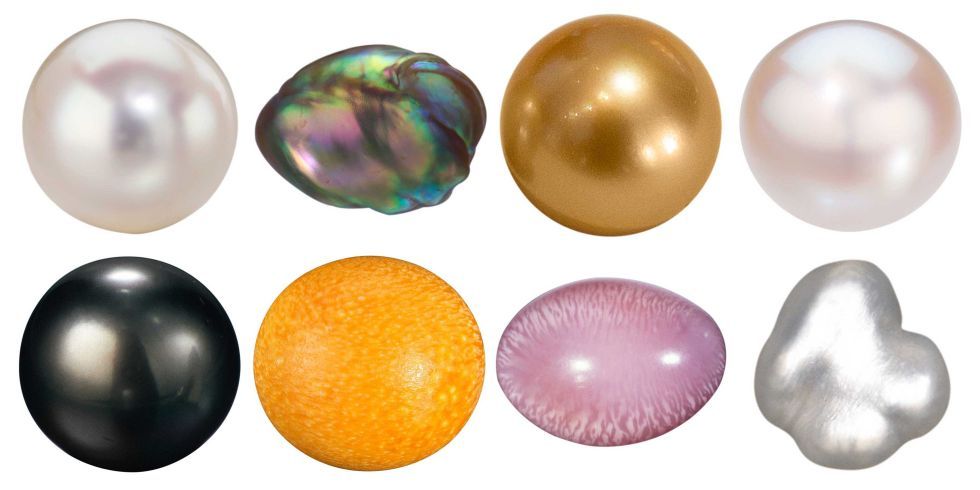Infographic : The Ultimate Guide to Pearl Types – Infographic.tv ...