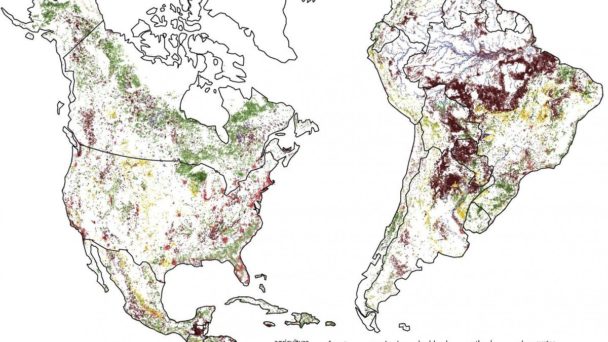 Map : Shocking Maps Show How Humans Have Reshaped Earth Since 1992 ...