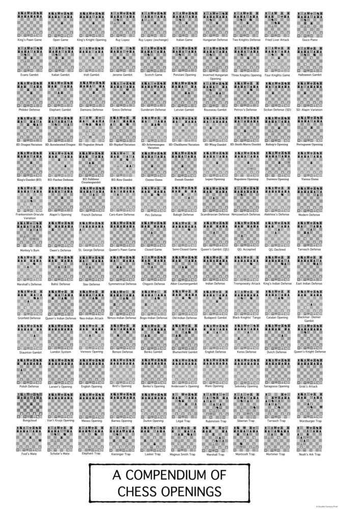 Visual : 130 chess openings – Infographic.tv – Number one infographics ...