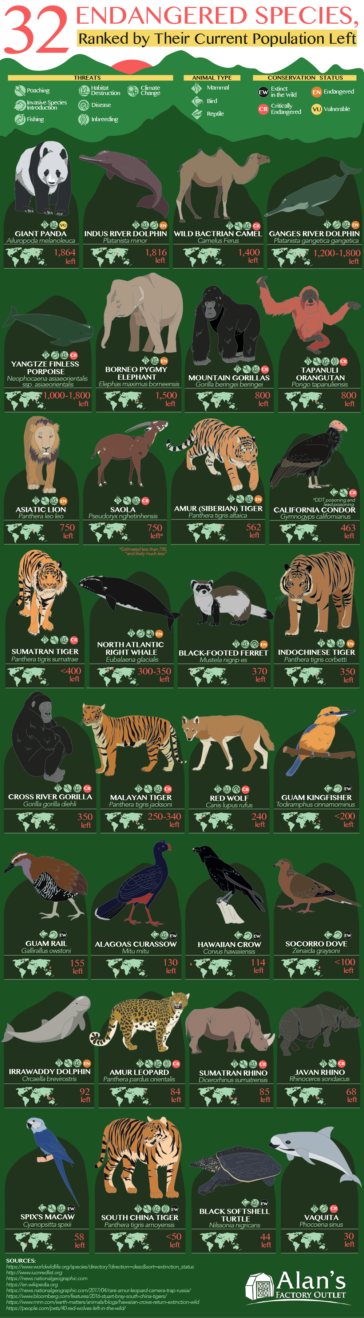 Visual : 32 endangered species, ranked by how many are currently left ...