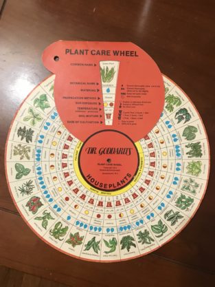 Visual : Plant wheel – Infographic.tv – Number one infographics & data ...