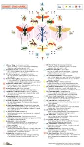 Visual : The Schmidt Pain Index (Sting Pain Guide) - Infographic.tv ...