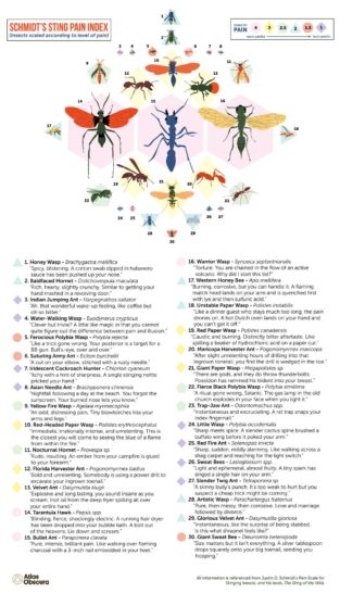 Visual : The Schmidt Pain Index (Sting Pain Guide) – Infographic.tv ...