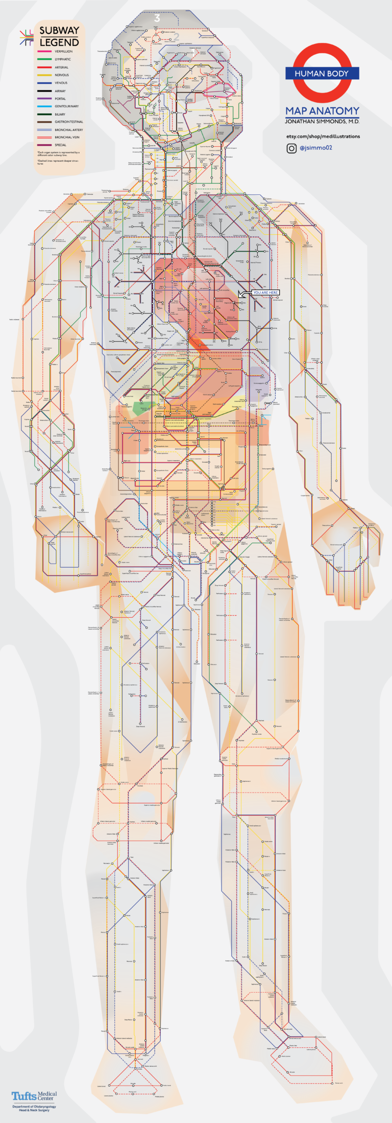 Visual : The human body as a subway map – Infographic.tv – Number one ...