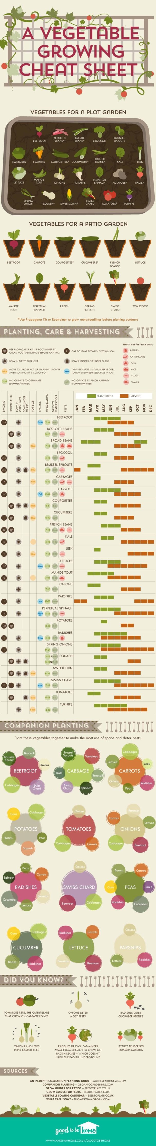 Visual : The ultimate cheat sheet for vegetable growing – Infographic ...