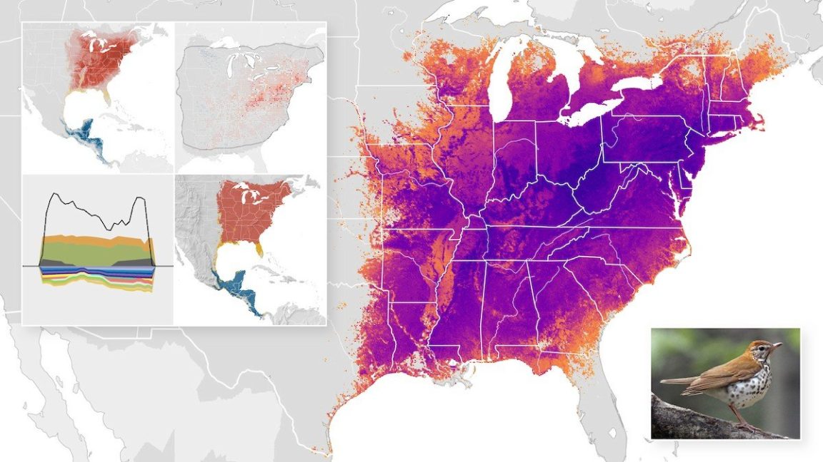 data visualization : Amazing maps of bird migration in North America ...