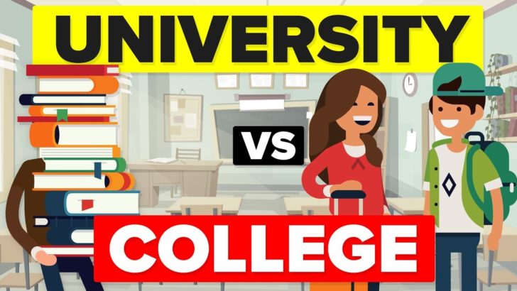 Video Infographic : University VS College – What’s The Difference ...