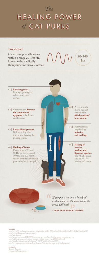 Data Chart : 4 brilliant ways cats are secretly helping their owners ...