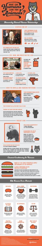 Data Chart : 9 Life Lessons from Remarkable Human and Animal ...