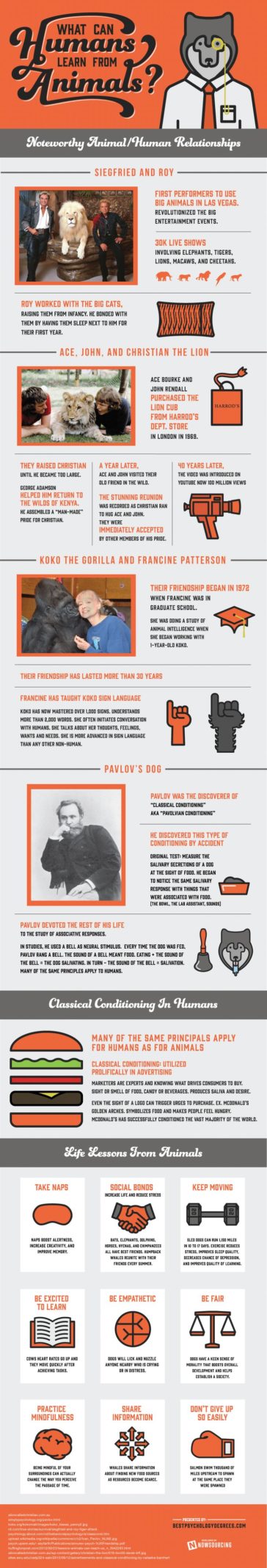 Data Chart : 9 Life Lessons from Remarkable Human and Animal ...