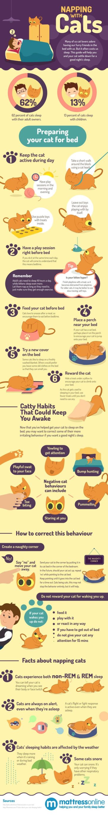 Data Chart : Cat Owners - How To Nap With Your Cats - Infographic ...