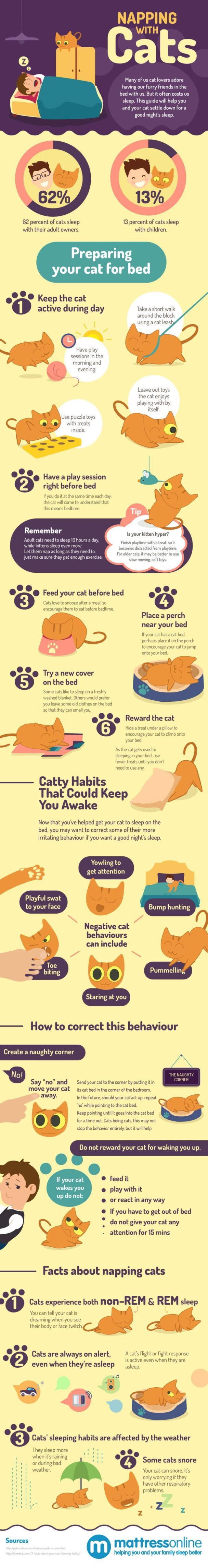 Data Chart : Cat Owners – How To Nap With Your Cats – Infographic ...