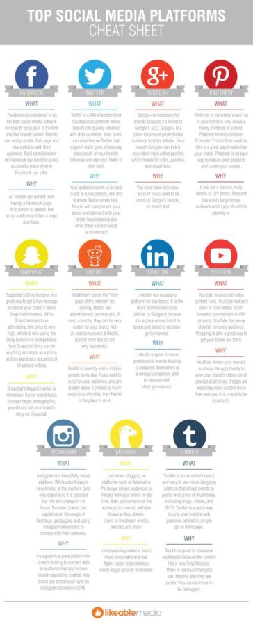 Data Chart : Define Your primary Social Media Strategy Template ...