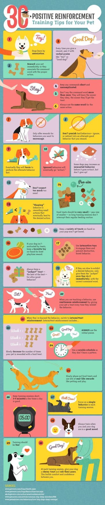 Data Chart : Dog Training Tips: Why Positive Reinforcement Training Is ...