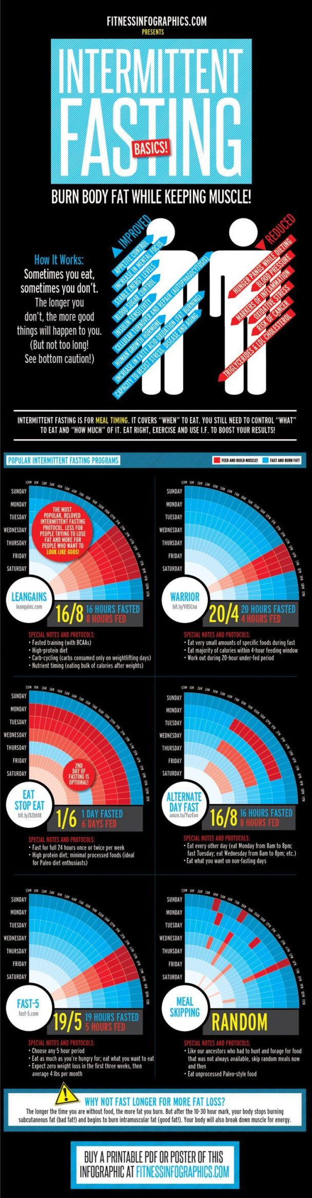 Data Chart : Fitness Infographics!Diets: Intermittent Fasting Basics ...