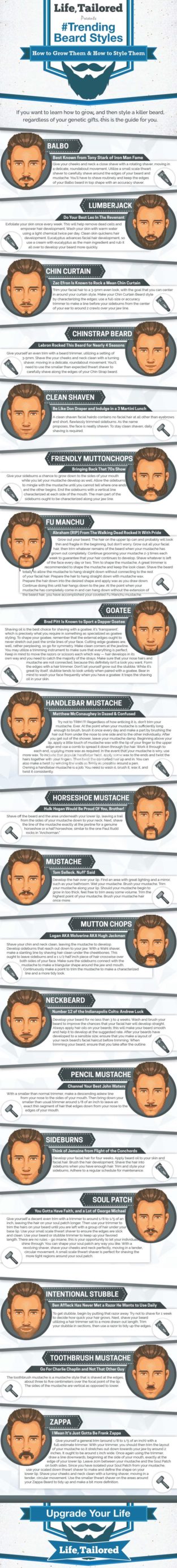 Data Chart : How To Grow And Maintain A Trendy, Stylish Beard ...