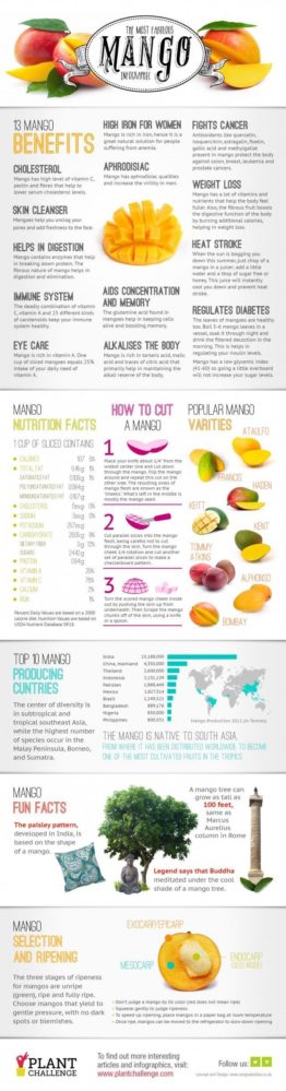 Data Chart : Mango 101 – The Infographic – Infographic.tv – Number one ...