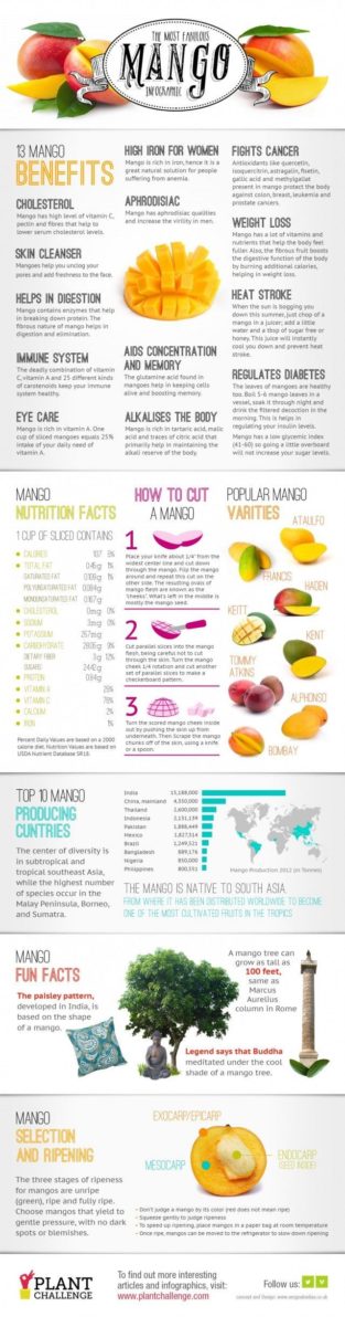 Data Chart : Mango 101 - The Infographic - Infographic.tv - Number one ...