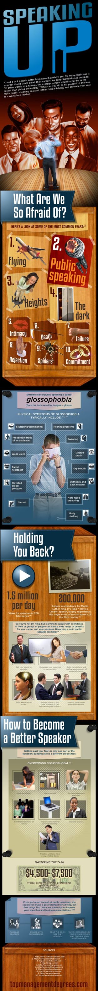 Data Chart : Mastering the Art of Public Speaking [Infographic ...