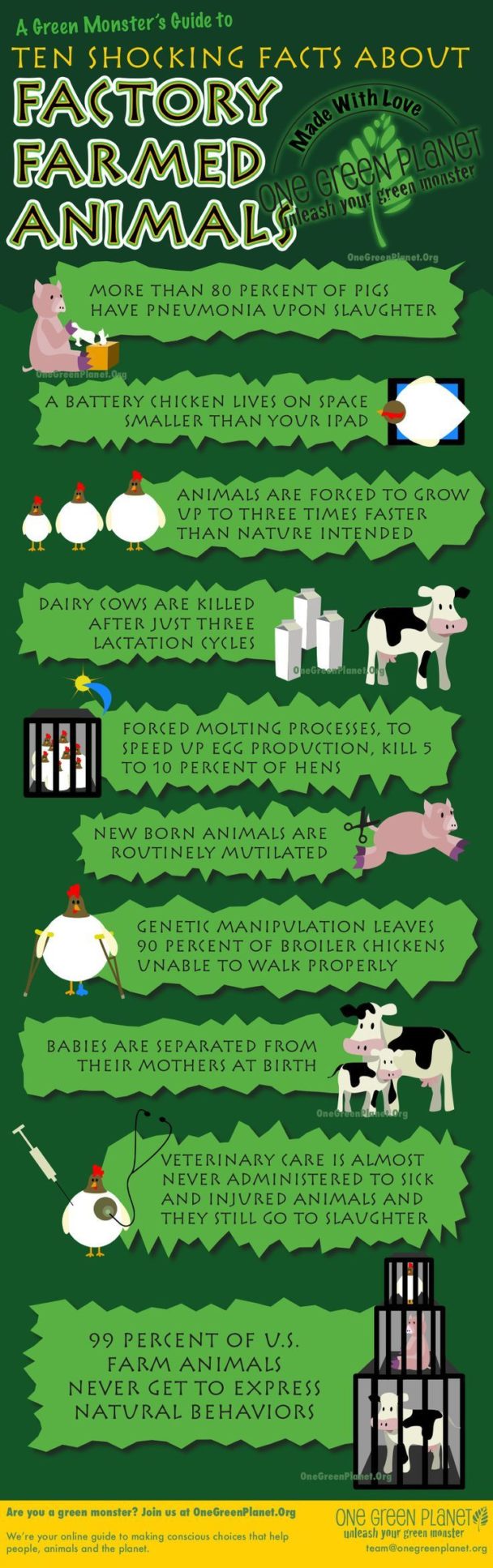 Data Chart : Shocking Facts About Factory Farmed Animals [INFOGRAPHIC ...