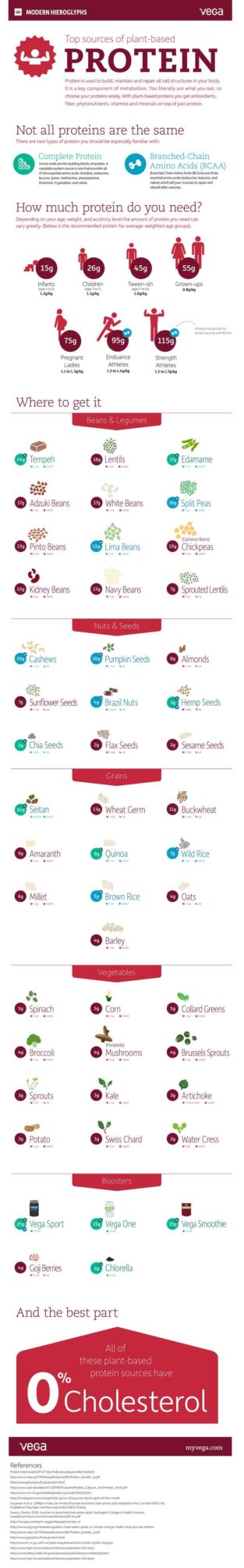 Data Chart : Top sources of plant based protein health infographic ...