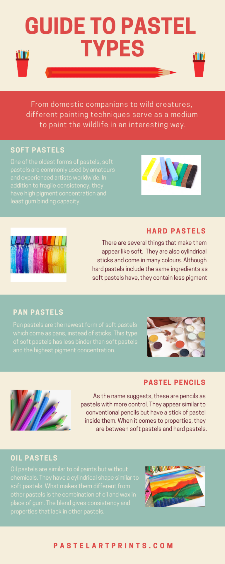 Infographic : Guide to Pastel Type - Infographic.tv - Number one ...