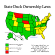 Map : A map where you can own ducks in the United States – Infographic ...