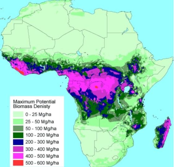 Map : Biomass density of Africa – Infographic.tv – Number one ...