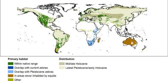 Map : Horses habitat and pre-historical distribution – Infographic.tv ...