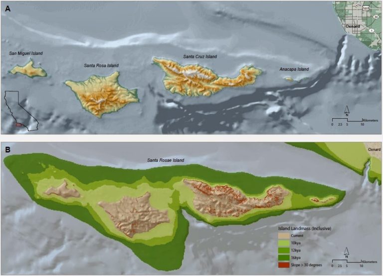 Map : Santa Rosae Island off the coast of California, home of the pygmy ...