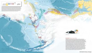 Map : The World’s Newest, Most Gloriously Designed Maps – Infographic ...