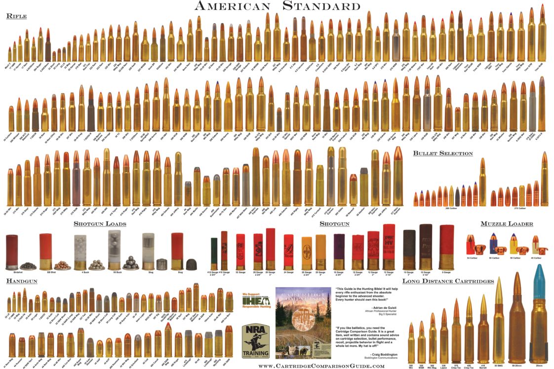 Visual : Bullets. – Infographic.tv – Number one infographics & data ...