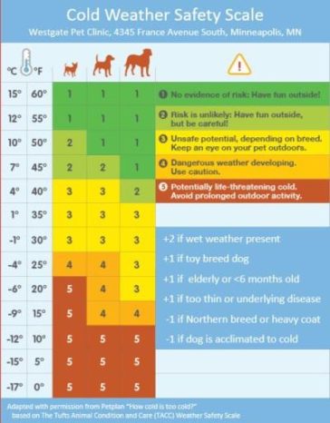 Visual : Cold weather safety scale – Infographic.tv – Number one ...