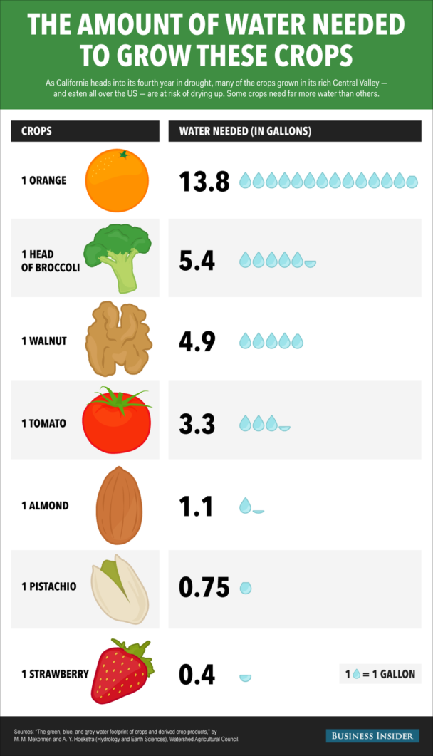 Visual : How Much Water It Takes To Grow Some Common Crops ...