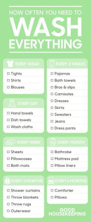 Visual : How Often You Need to Wash Everything - Infographic.tv ...