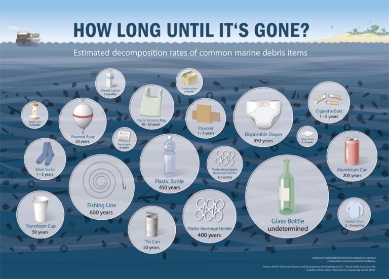 Visual : How long different types of trash take to decompose in the ...
