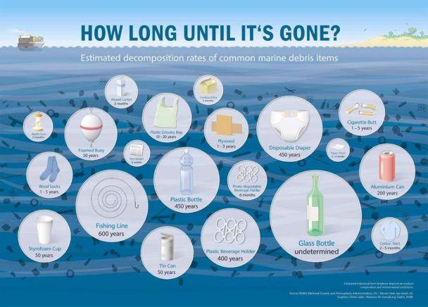 Visual : How long until it’s gone? – Estimated decomposition rates of ...