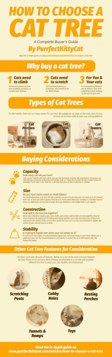 Visual : How to Choose a Cat Tree - Infographic.tv - Number one ...