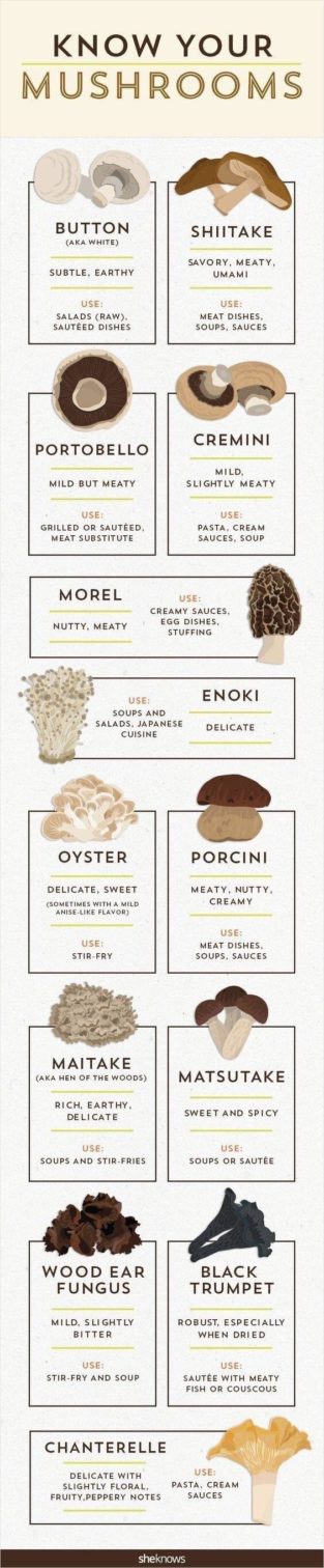 Visual : Know your mushrooms – Infographic.tv – Number one infographics ...