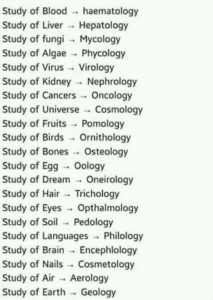 Visual : Names of studies – Infographic.tv – Number one infographics ...