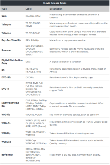 Visual : Pirated movie release types – Infographic.tv – Number one ...