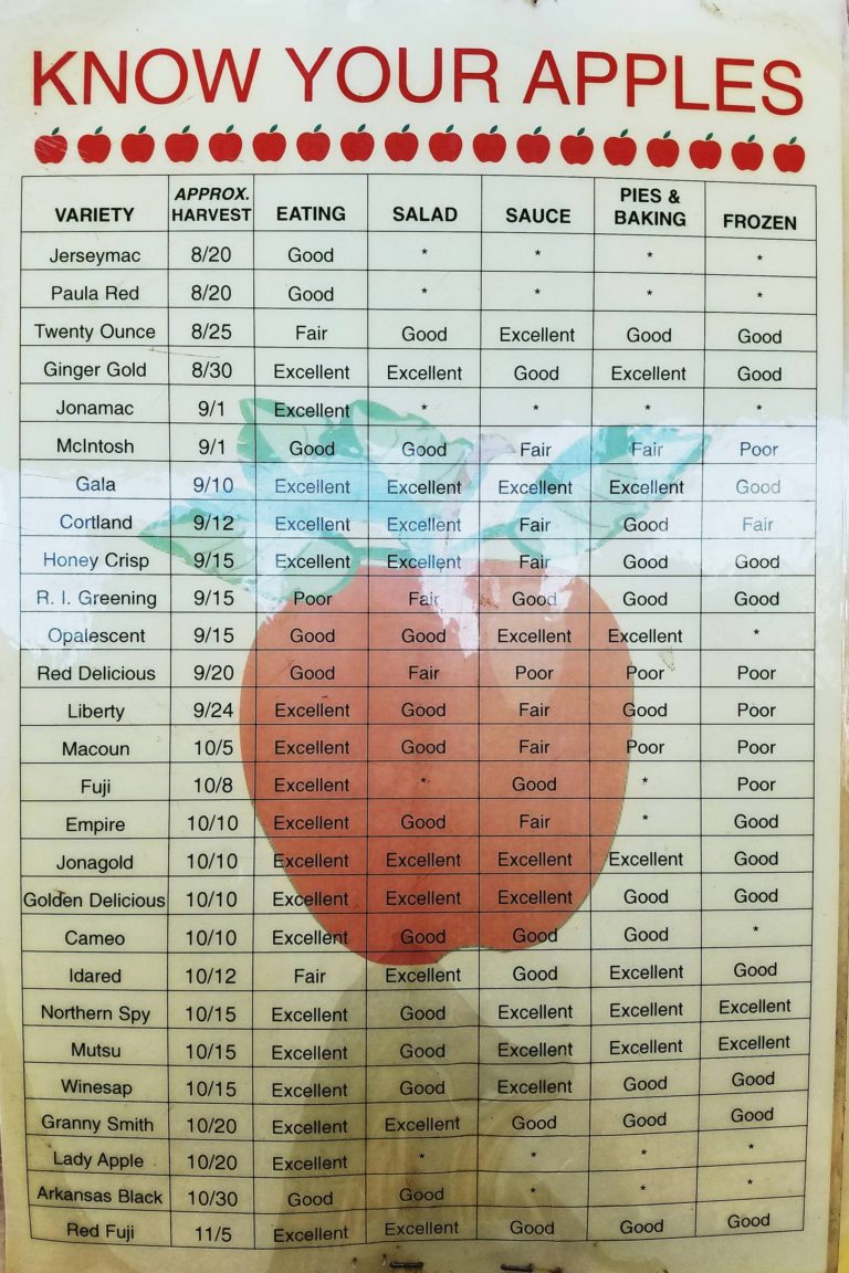 Visual : Rating Uses of Apple Varieties – Infographic.tv – Number one ...