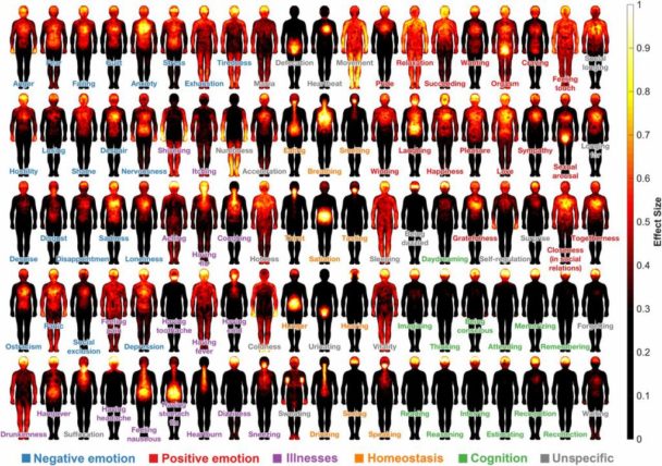 Visual : Scientists have produced detailed maps of what they call the ...