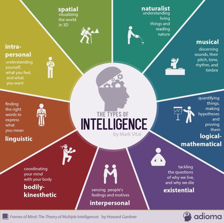 Visual : Types of Intelligence – Infographic.tv – Number one ...