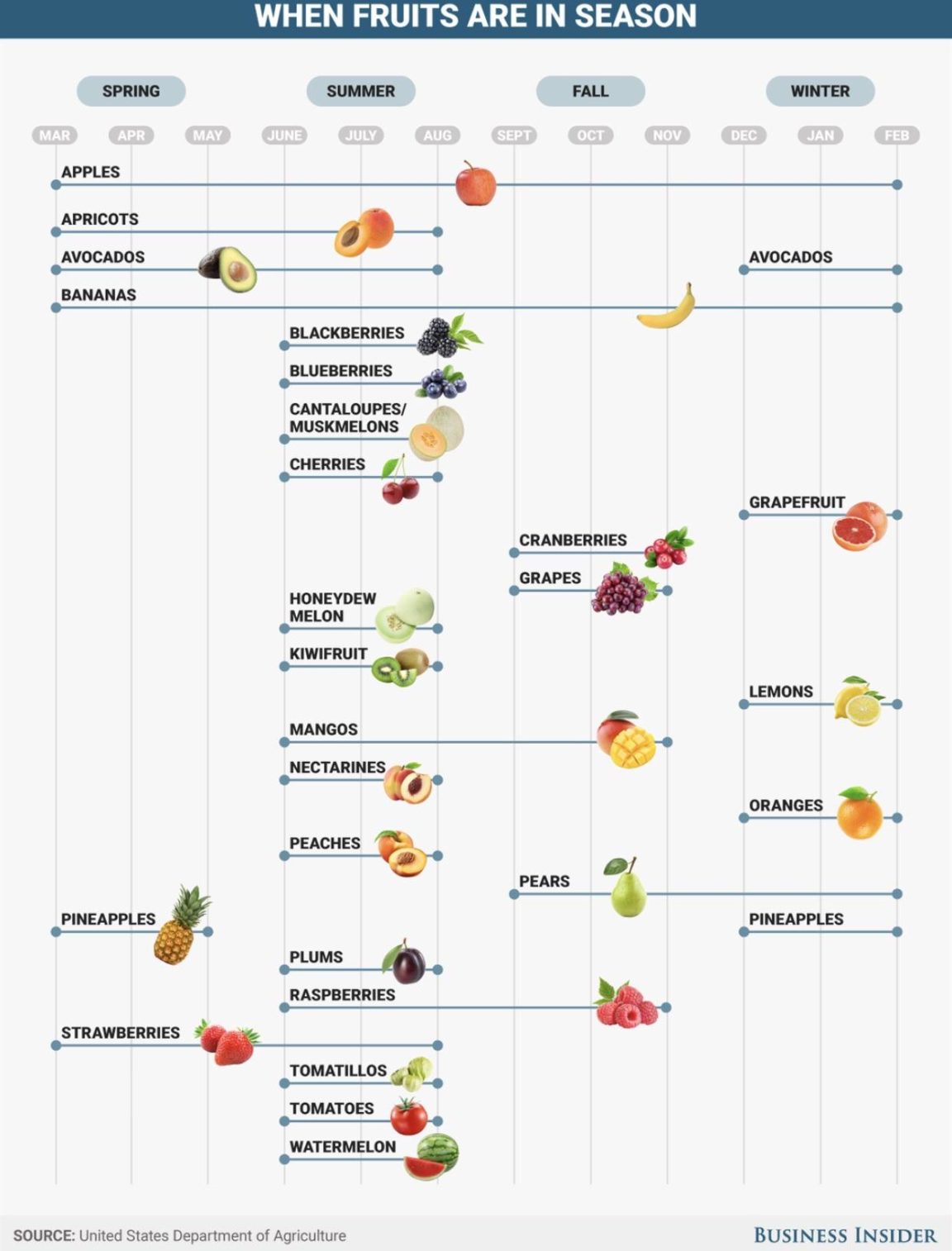Visual : When fruits are in season - Infographic.tv - Number one ...